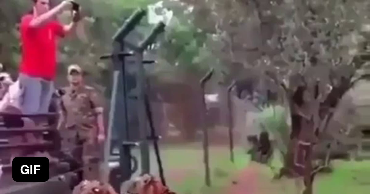 This absolute unit of a Tiger has a crazy vertical. - 9GAG