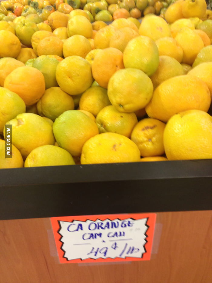 You got one joB - 9GAG