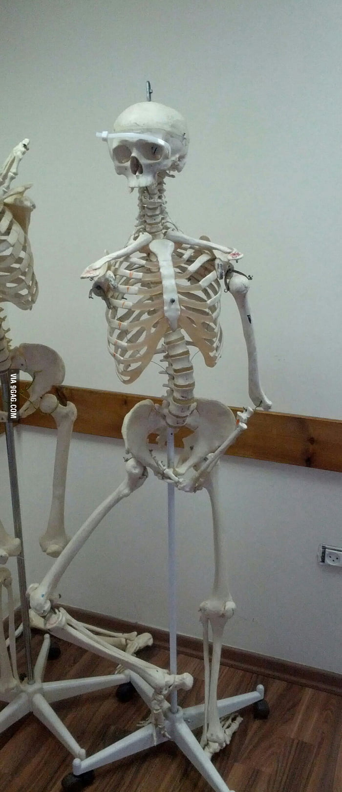 Michael's skeleton - 9GAG