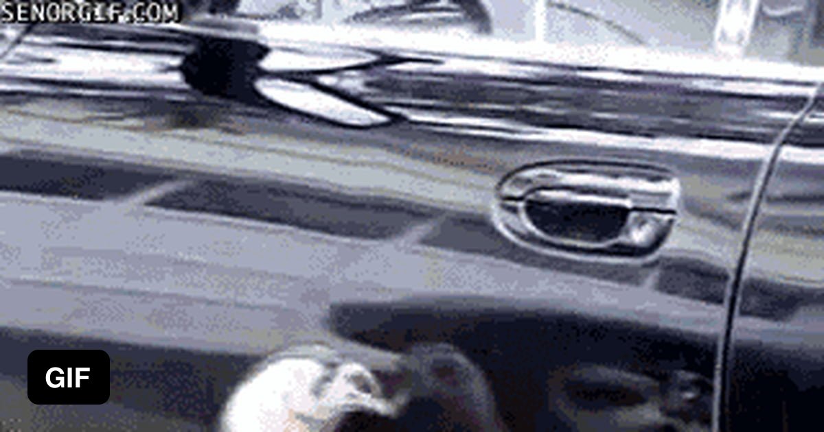 Turkey Beaks a Car - 9GAG