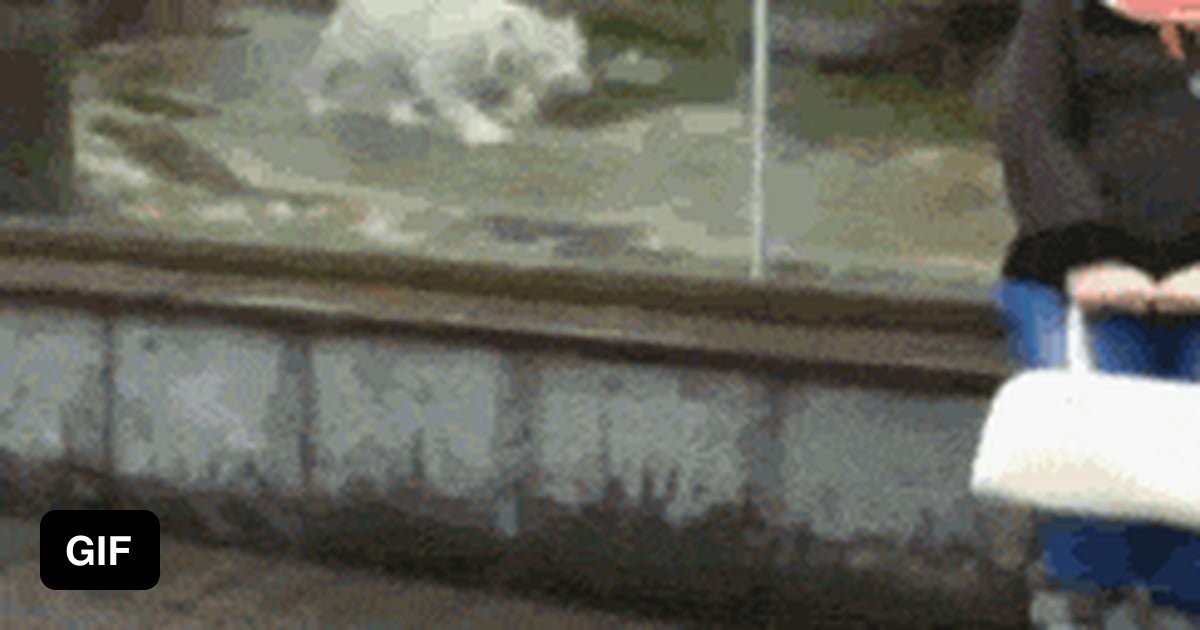 Whatever you do, don't turn around - 9GAG