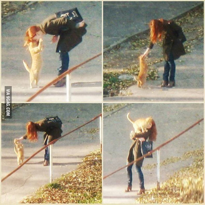 Redheads 9gag