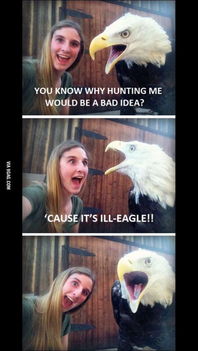 It's Ill-eagle - 9GAG