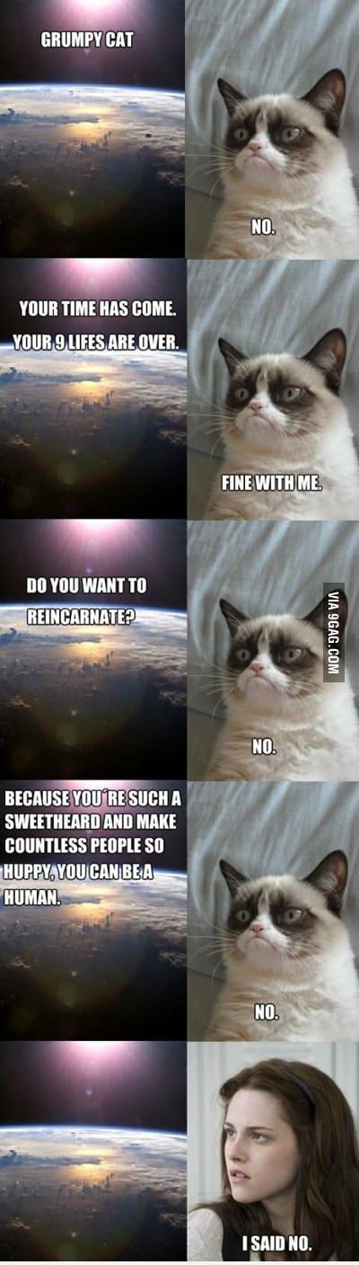 Grumpy Cat meets God - 9GAG