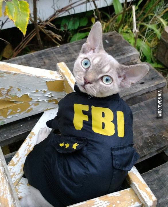 I feel safe knowing that the fbi is there to protect us - 9GAG