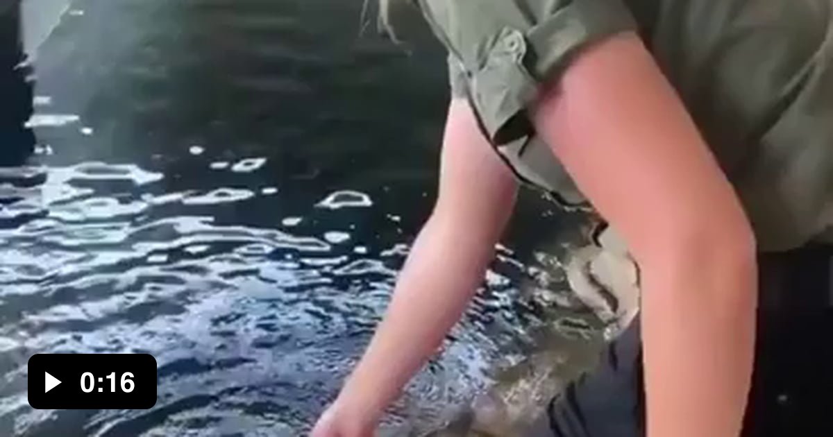 Tippy taps - or Flippy flaps? - 9GAG