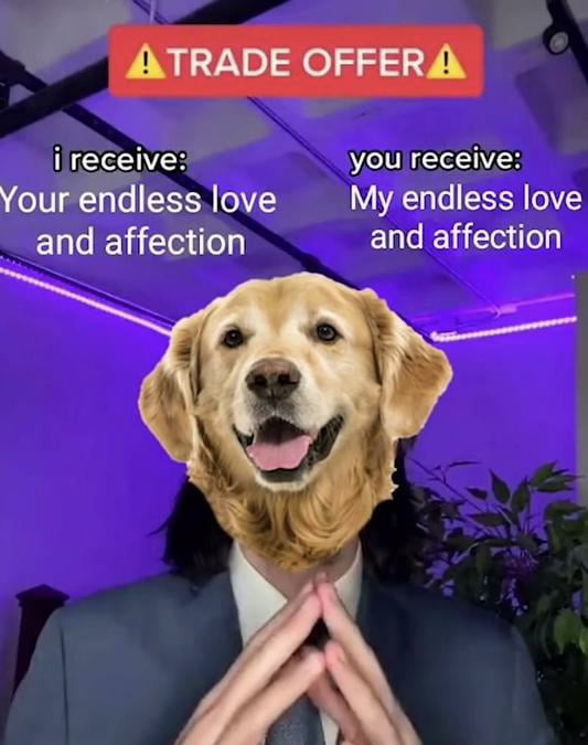 Best trade deal in the history of trade deals - 9GAG