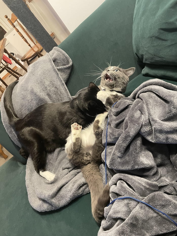 Just a touch dramatic - 9GAG