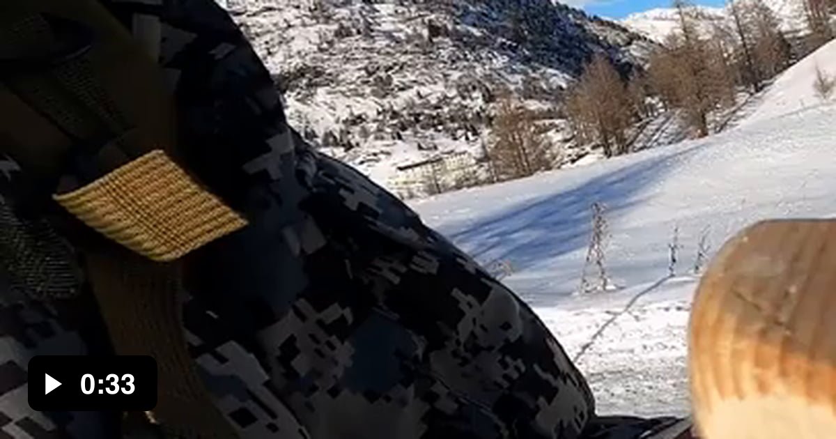 Doggy steals gopro camera - 9GAG