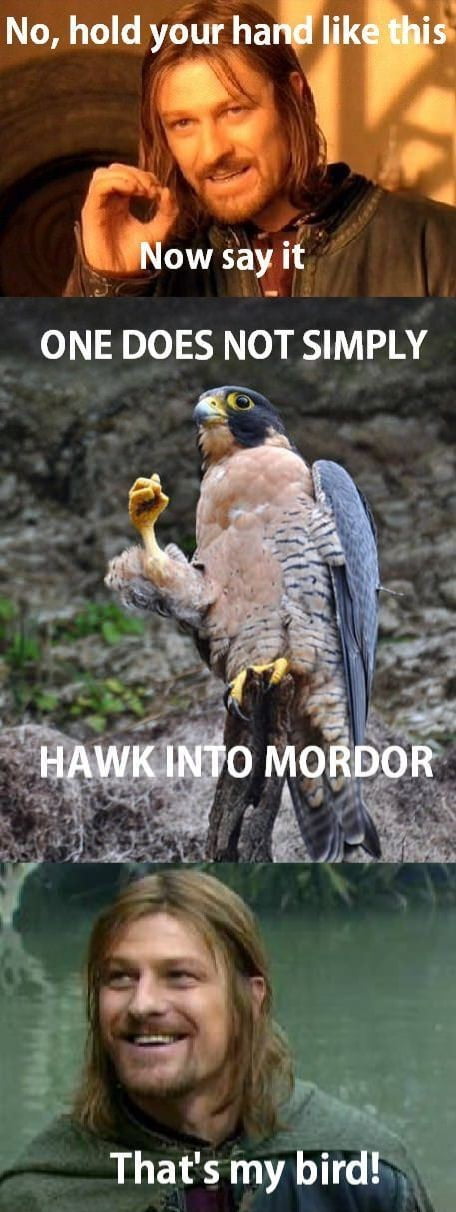 Why eagles didn't fly the ring? Cause Boromir had Hawk. - 9GAG