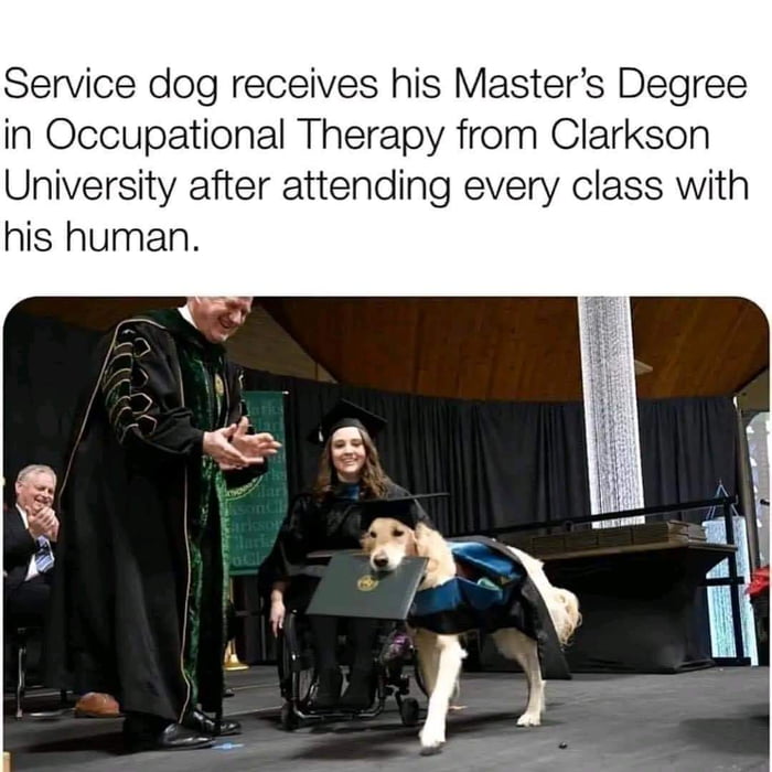 Service pup receiving his Master's diploma after attending every class ...