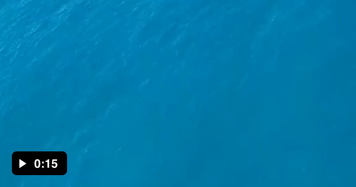 Where to buy? - 9GAG