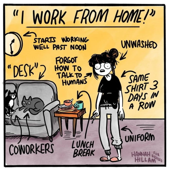 Remote workers be like - 9GAG