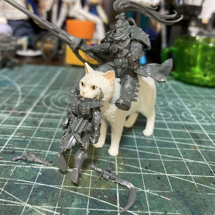 Behold the mighty battle cat - 9GAG