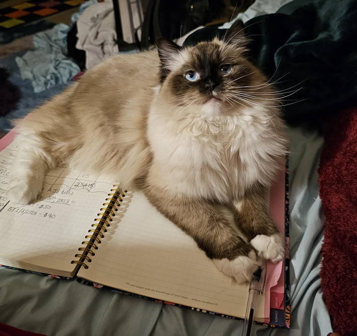 No you cannot pay your bills, you cannot pass GO, you cannot collect your $200!! - 9GAG