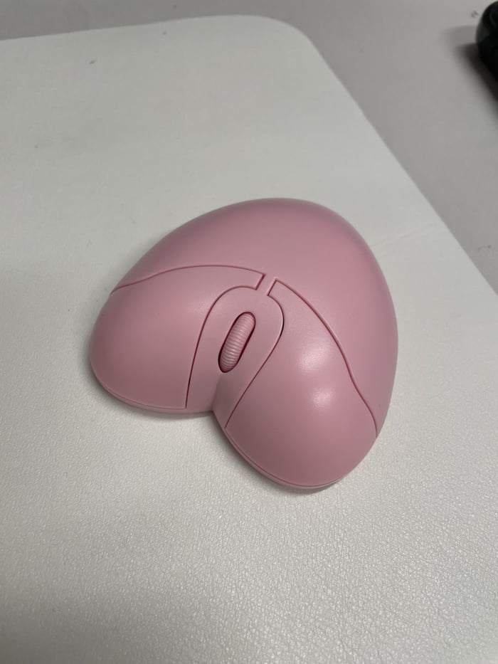 What a beautiful mouse haha - 9GAG