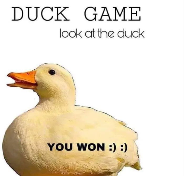 Duck game time - 9GAG