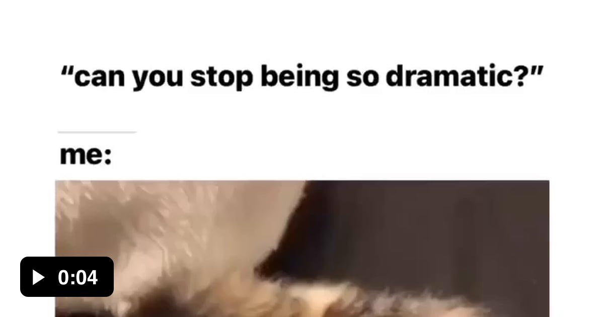 Dramatic kitten - 9GAG