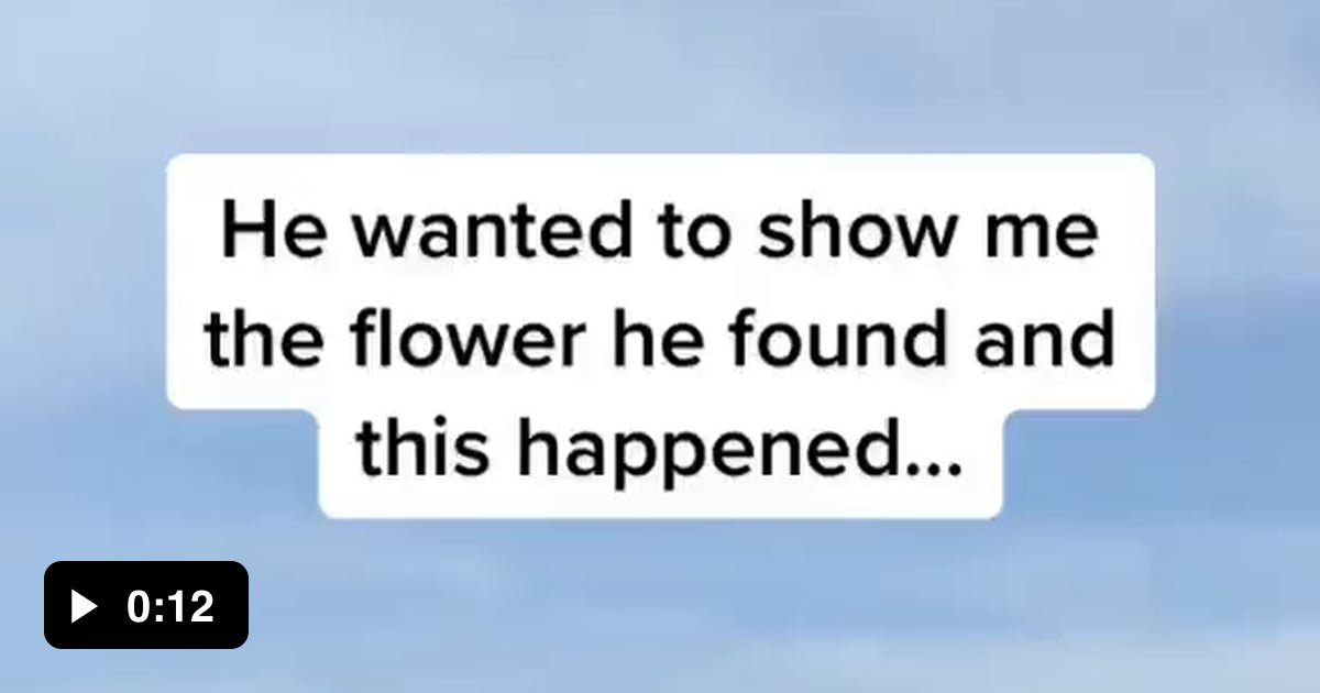 Dandylions are f**kin weird man - 9GAG