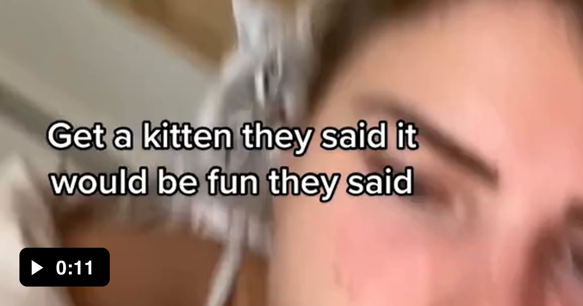 What Is Love 9gag