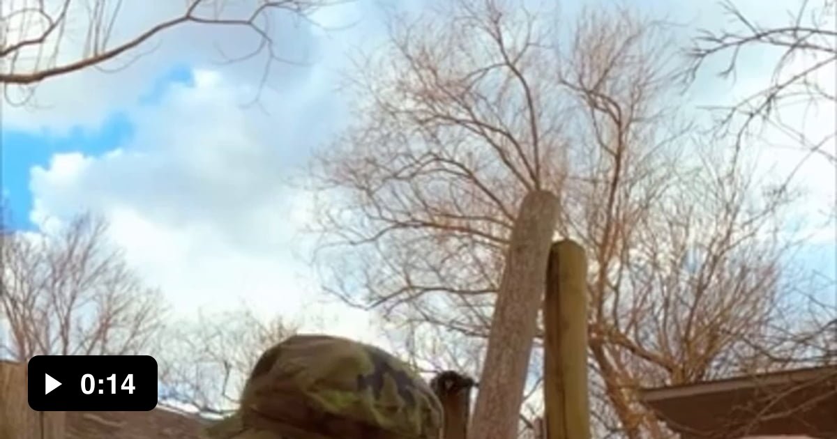 Airsoft Troll 9gag