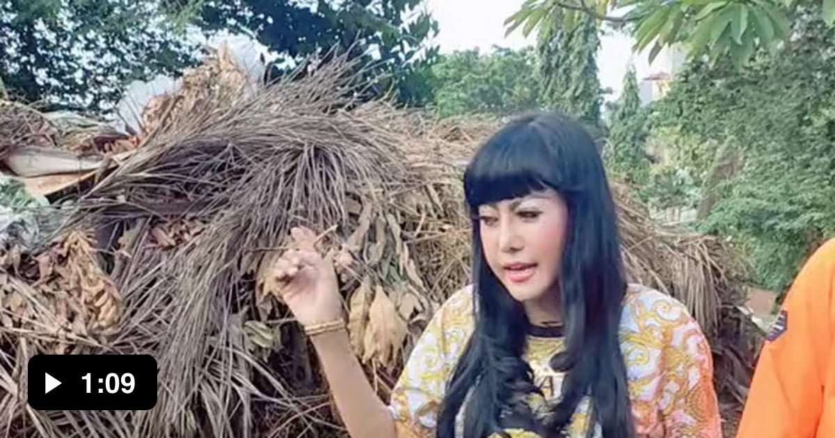 Iya kasihan kucing liar dilarang dikasih makan tapi resikonya ntar beranak pinak, siapa yang ...