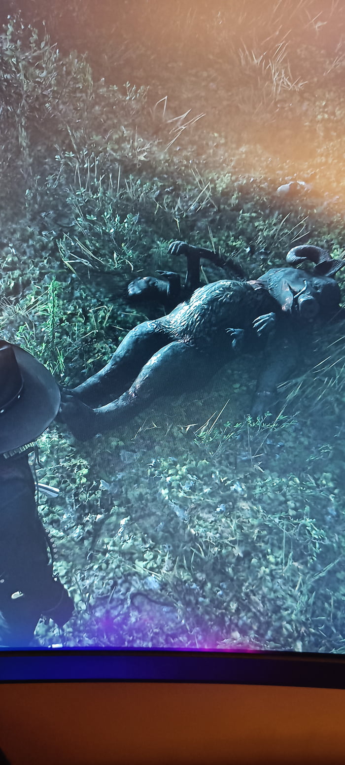 Encountered this... Man Bear Pig? In RDR2. Anyone else? - 9GAG