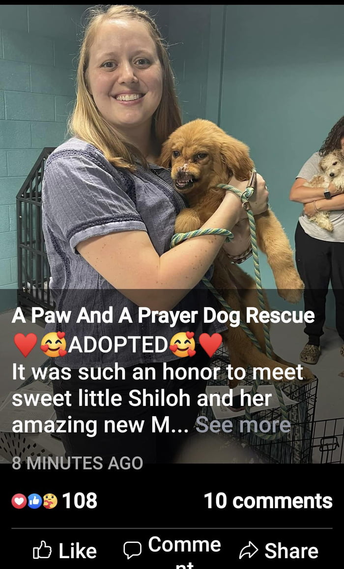 Shiloh is so sweet - 9GAG