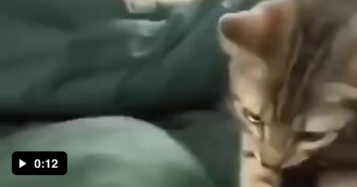 The f**k do you want ?? - 9GAG