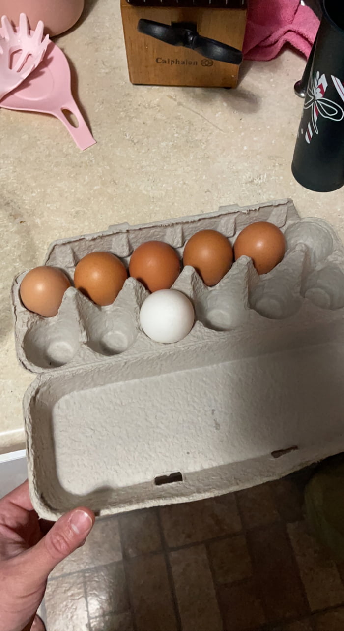 It’s just eggs. - 9GAG