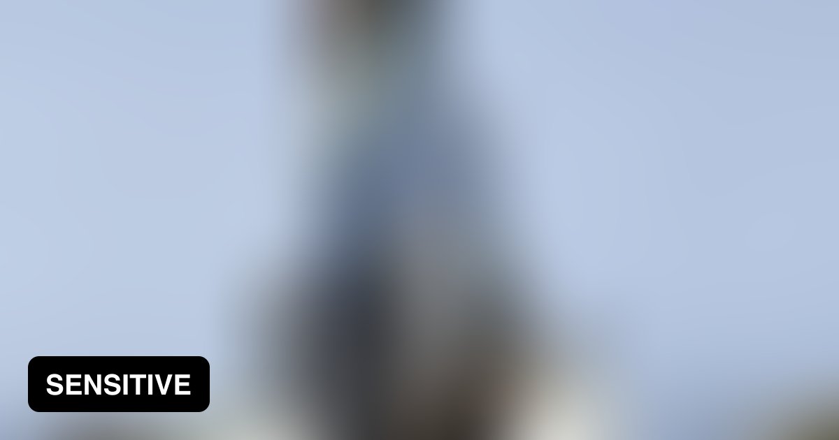 Big tuna catch in Morocco - 9GAG