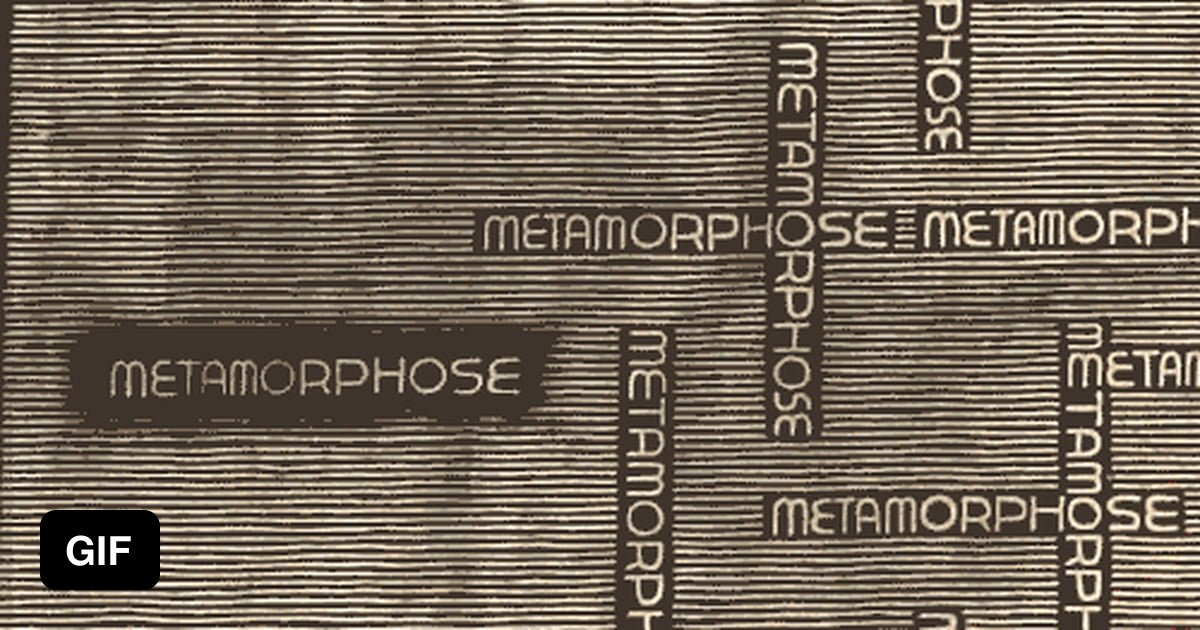 Metamorphosis II is an artwork by M. C. Escher. Depicts forms gradually ...