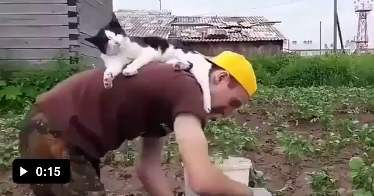 The farmer boss - 9GAG