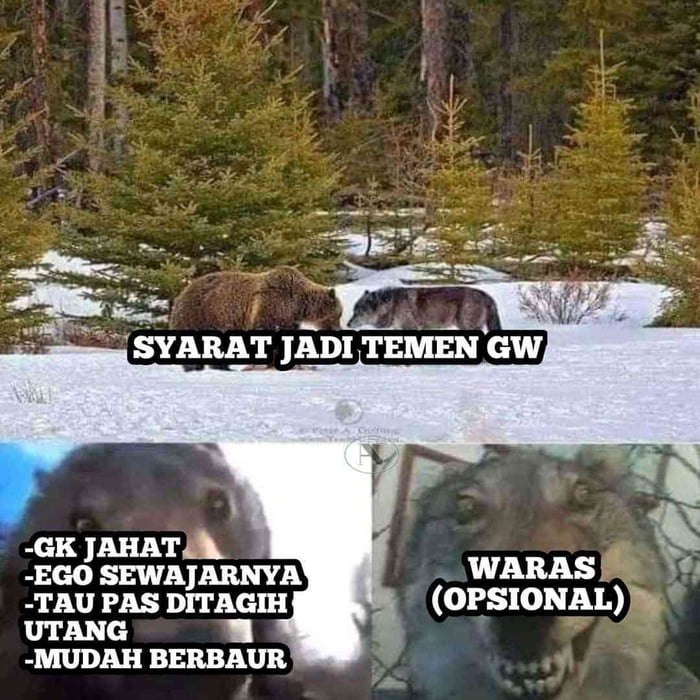 Mari Berteman - 9GAG