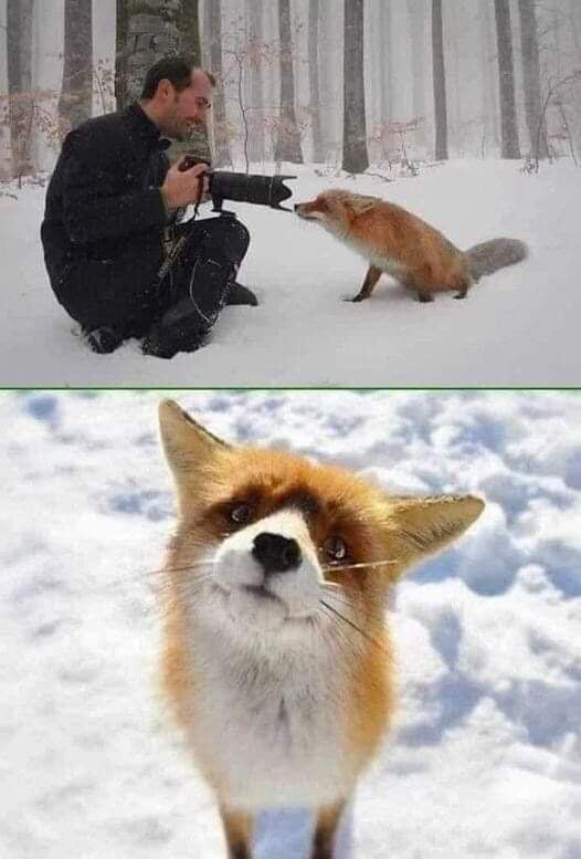 When the photographer gets that special angle. - 9GAG