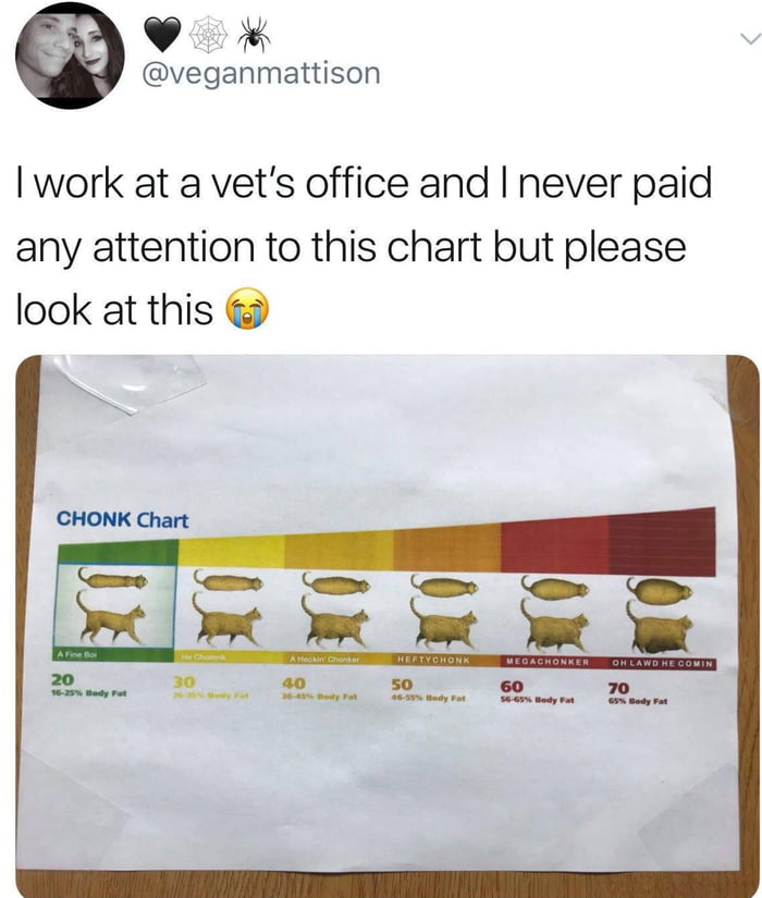 Chonk chart - 9GAG