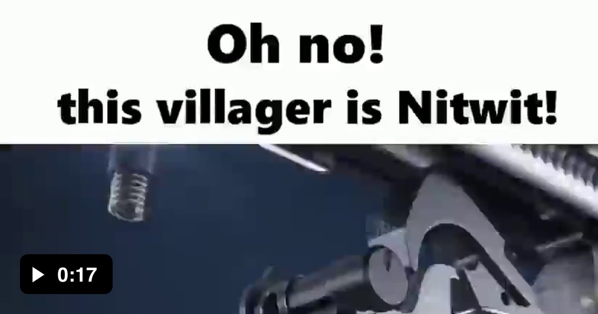 Oh no! this villager is Nitwit! - 9GAG