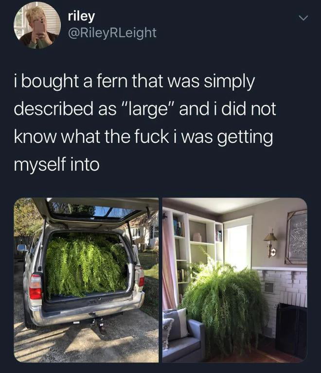 Ferns can be units too - 9GAG
