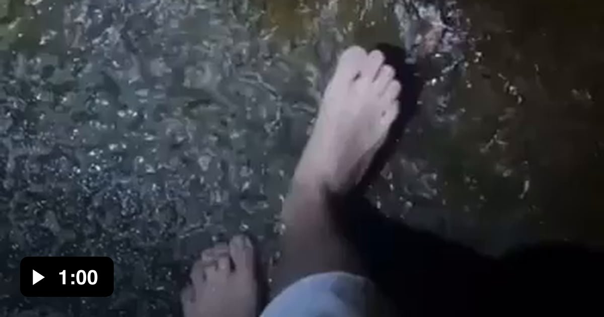 Florida man goes yoink💀 - 9GAG