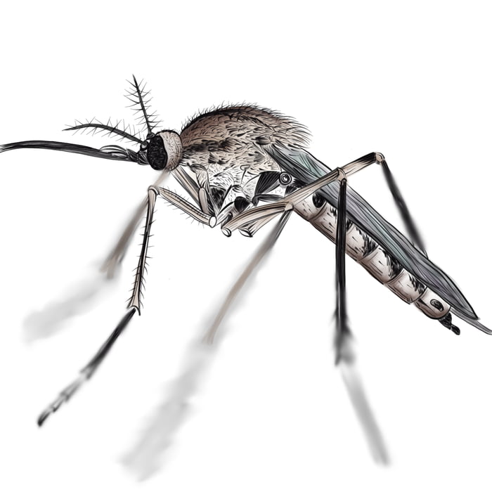 Got a drawing Tablet pls roast - 9GAG