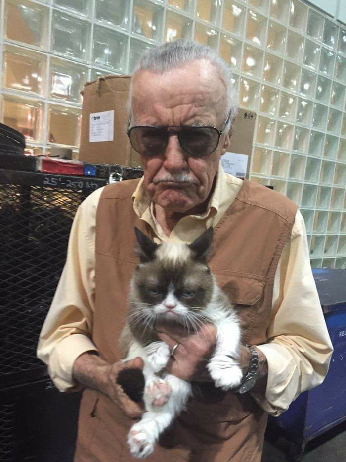 Stan lee with grumpy cat - 9GAG