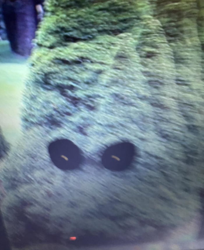 Massive Moss Charger irl - 9GAG