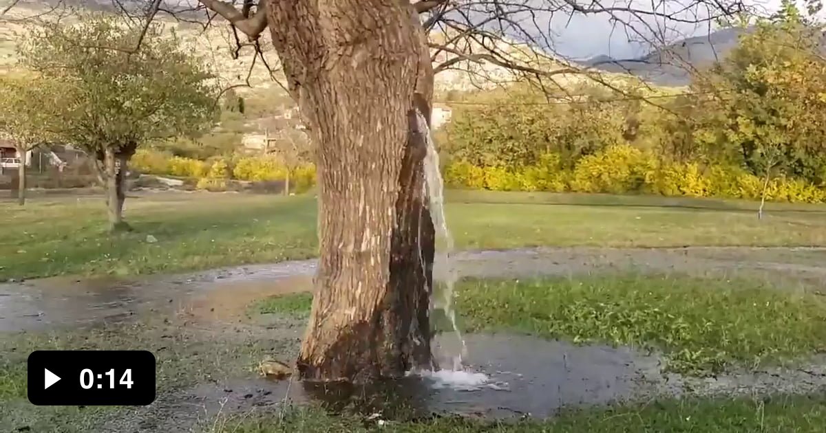 For the last two decades, during the spring floods, the water has been ...