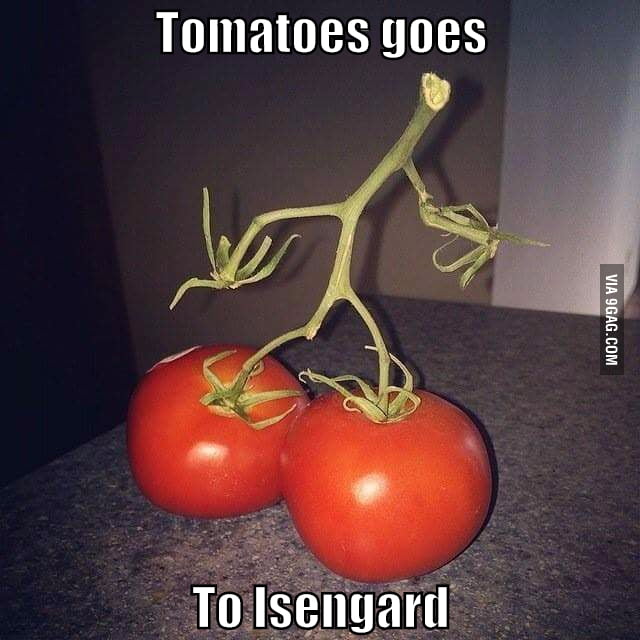 Tomatoes goes to Isengard - 9GAG