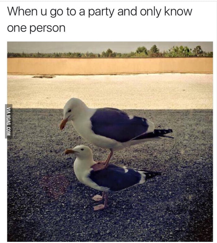 No,im not fun at parties - 9GAG