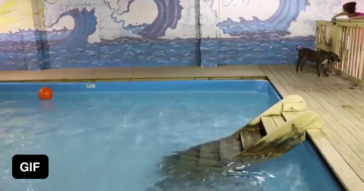 Oh boy... the swimming pool! - 9GAG