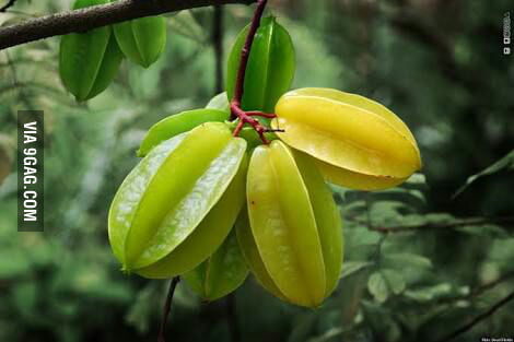 I dont know if you guys have this in your country. This is called star ...