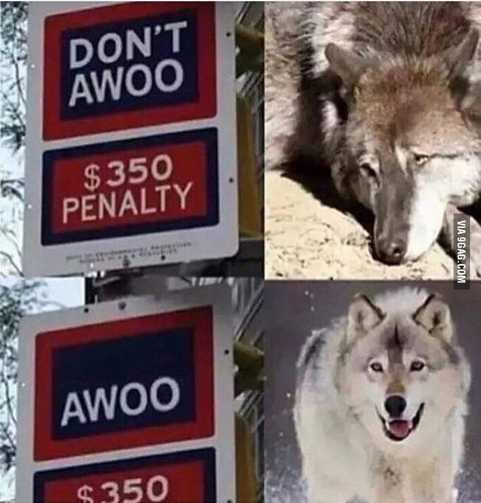 Don't Awoo - 9GAG