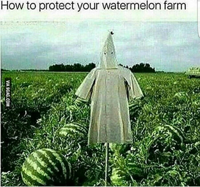 Watermelon Patch Scarecrow