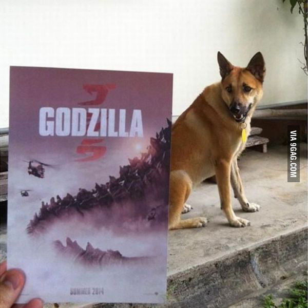 Godzilla Dog - 9GAG